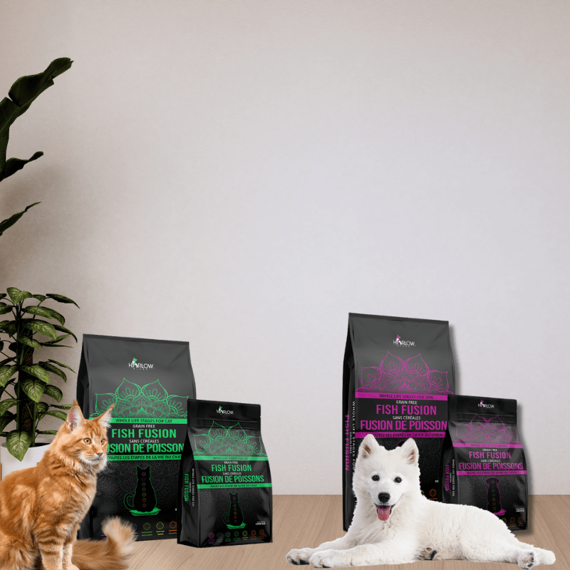Exclusives - Nutters Everyday Naturals